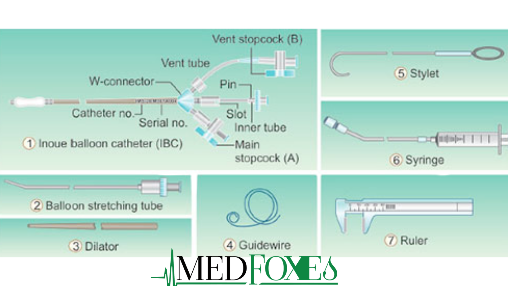 Cathlab Protocols: Balloon Mitral Valvuloplasty (BMV) – MEDFOXES