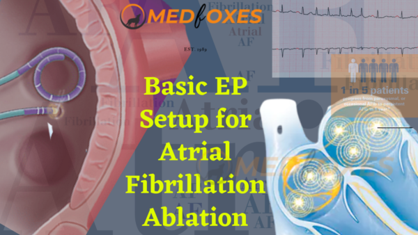 Basic Setup for Atrial Fibrillation Ablation – MEDFOXES